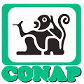CONAP (Consejo Nacional de Areas Protegidas) - Oficinas Centrales en ...
